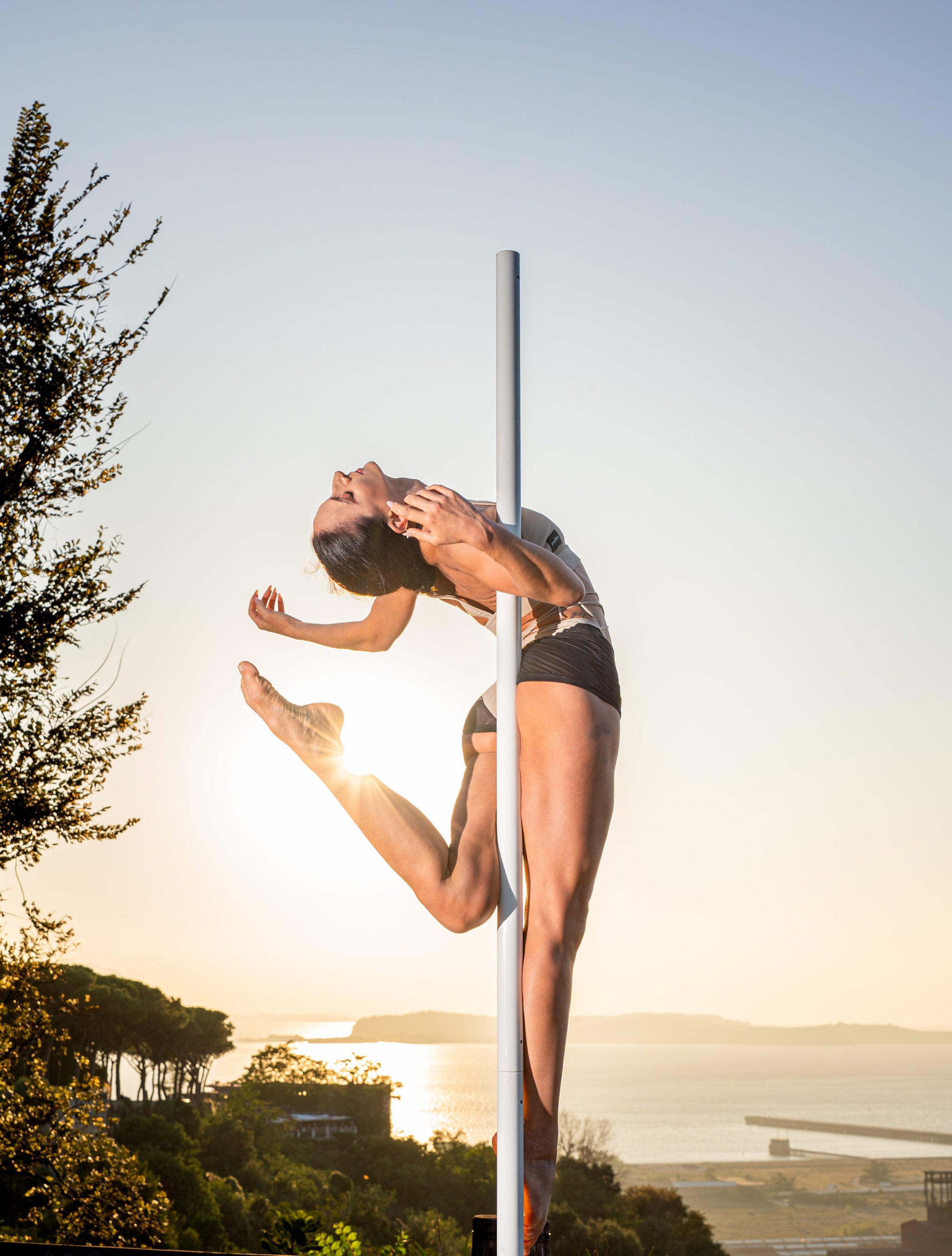 POLE FACTORY | Pole Dance Online Store: Polewear, Accessories & Equipment – Pole Factory